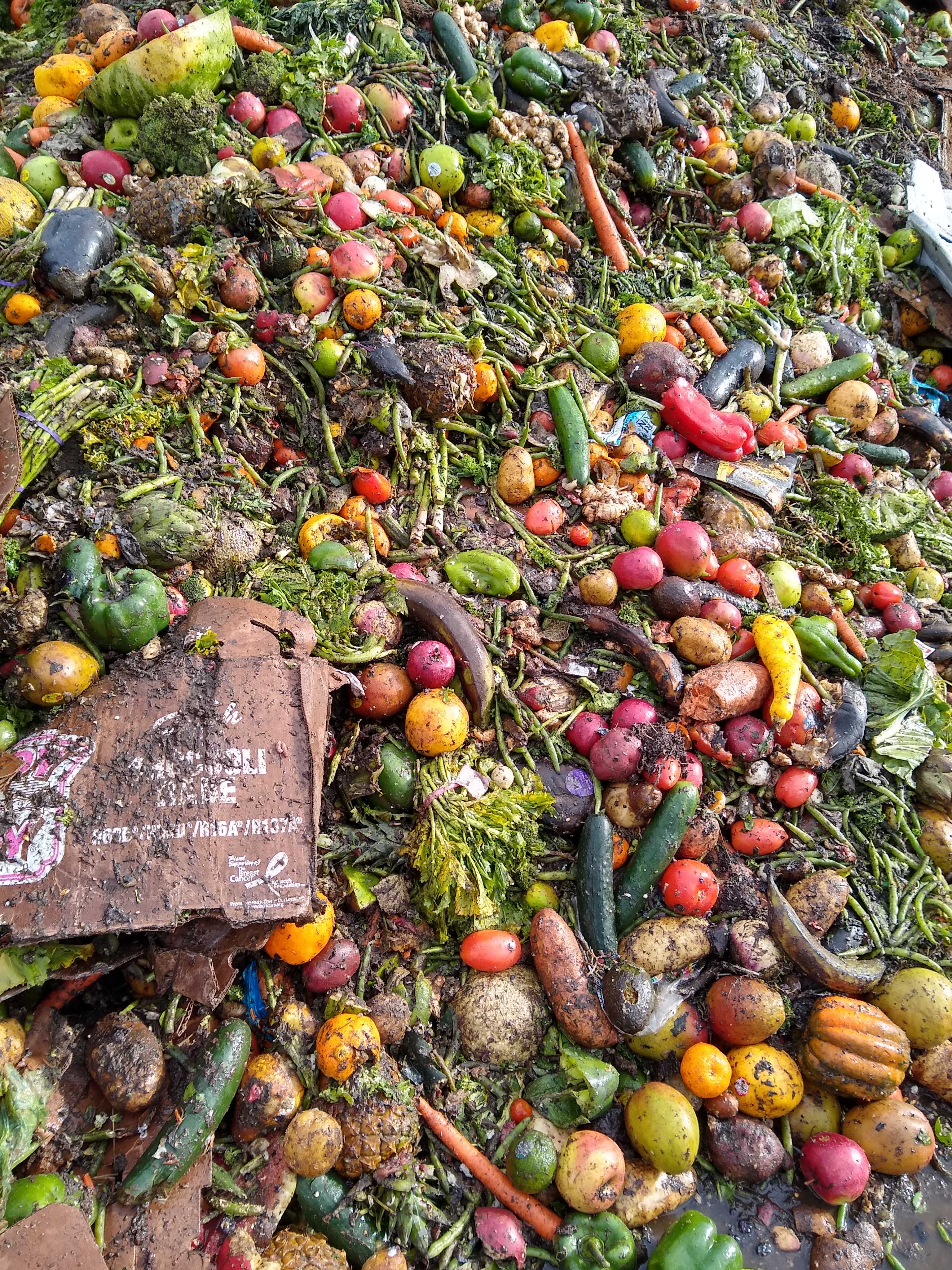 Curbside Pickup - Service Options – The Compost Cooperative